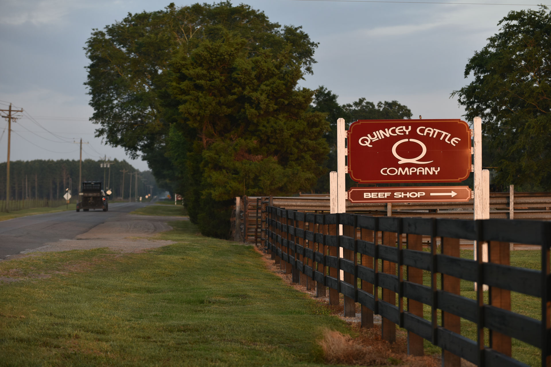 Wholesale - Quincey Cattle Company